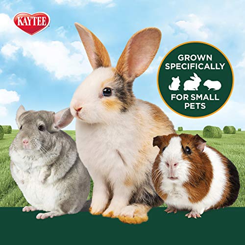 Kaytee All Natural Timothy Hay for Guinea Pigs, Rabbits & Other Small Animals, 12 Pound