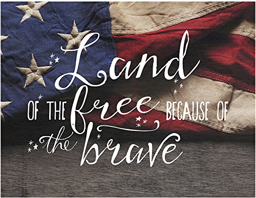 Jada Venia 9.75"x7.75" Flag Land of The Free Light Box Insert