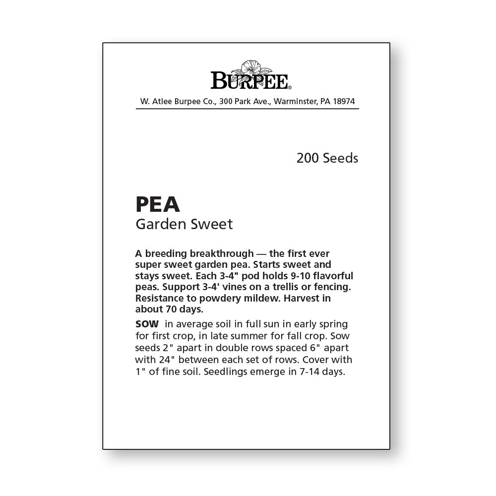 Burpee Garden Sweet Pea Seeds 200 seeds