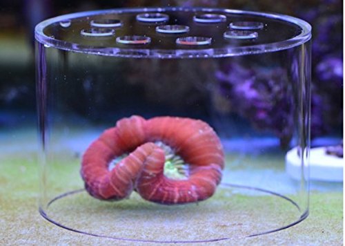Marine Color Soft Coral Feeding Breeding Protection Cover, Protect The Coral Food not be Lost (Small)