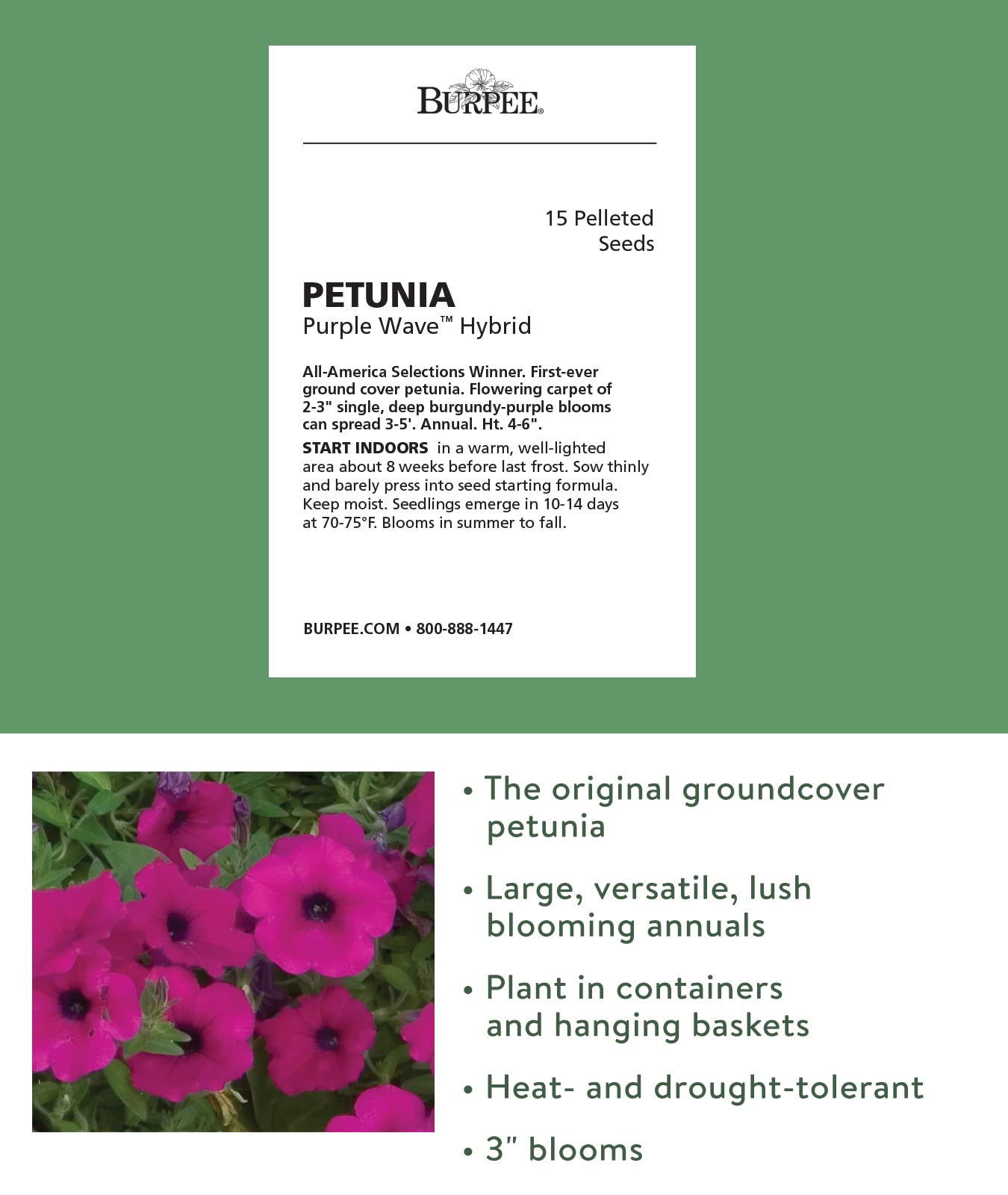 Burpee Purple Wave Petunia Seeds 15 pelleted