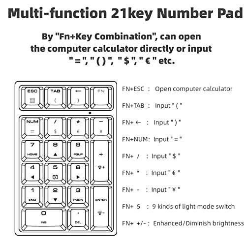 BRIMFORD Number Pad, Mechanical Numeric Keypad, RGB Digital Mechanical Keyboard 21 Keys with USB for Laptop, Notebook, Surface, Tabulation/Accounting Keypad (Shimmer Orange(PBT Keycaps))
