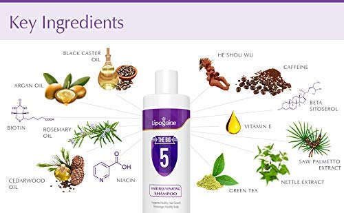 Lipogaine Big 5 Hair Stimulating All Natural Shampoo for Hair Thinning & Breakage (purple) (16oz)
