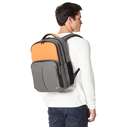 Amazon Basics School Backpack, Grey