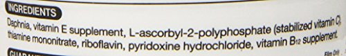 Hikari Bio-Pure Freeze Dried Daphnia for Pets, 0.42-Ounce