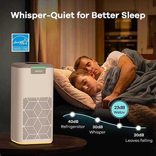Welov P200S Air Purifiers for Home Large Room with An Extra H13 True HEPA Filter Bundle