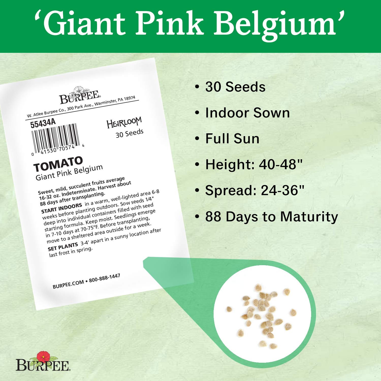 Burpee 'Giant Pink Belgium' Heirloom | Large Pink Beefsteak Slicing Tomato | 30 Seeds