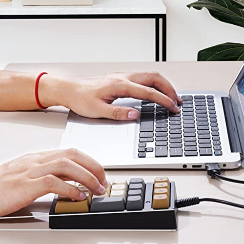 BRIMFORD Number Pad, Mechanical Numeric Keypad, RGB Digital Mechanical Keyboard 21 Keys with USB for Laptop, Notebook, Surface, Tabulation/Accounting Keypad (Shimmer Orange(PBT Keycaps))