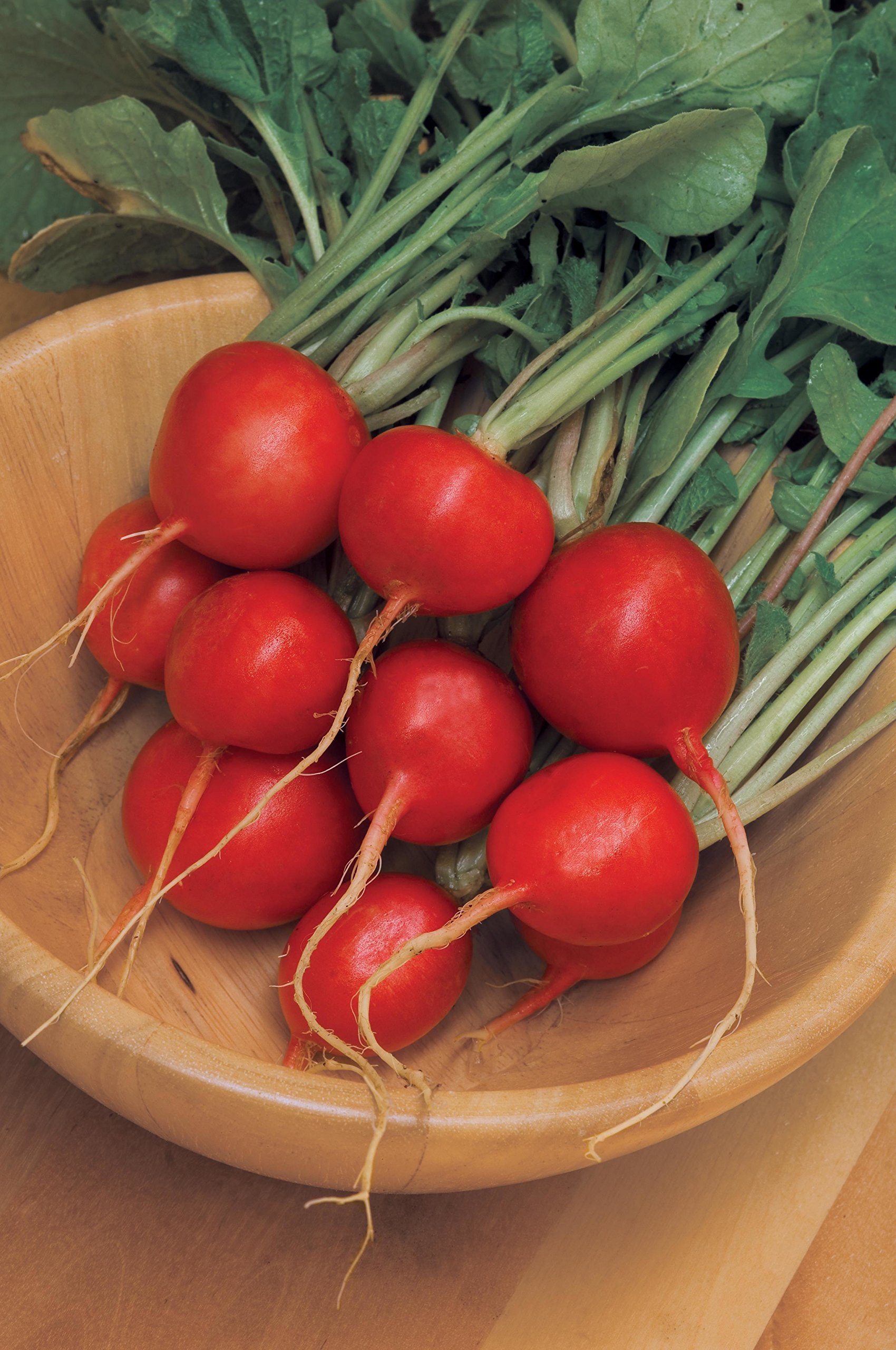 Burpee Cherry Belle Radish Seeds 1000 seeds