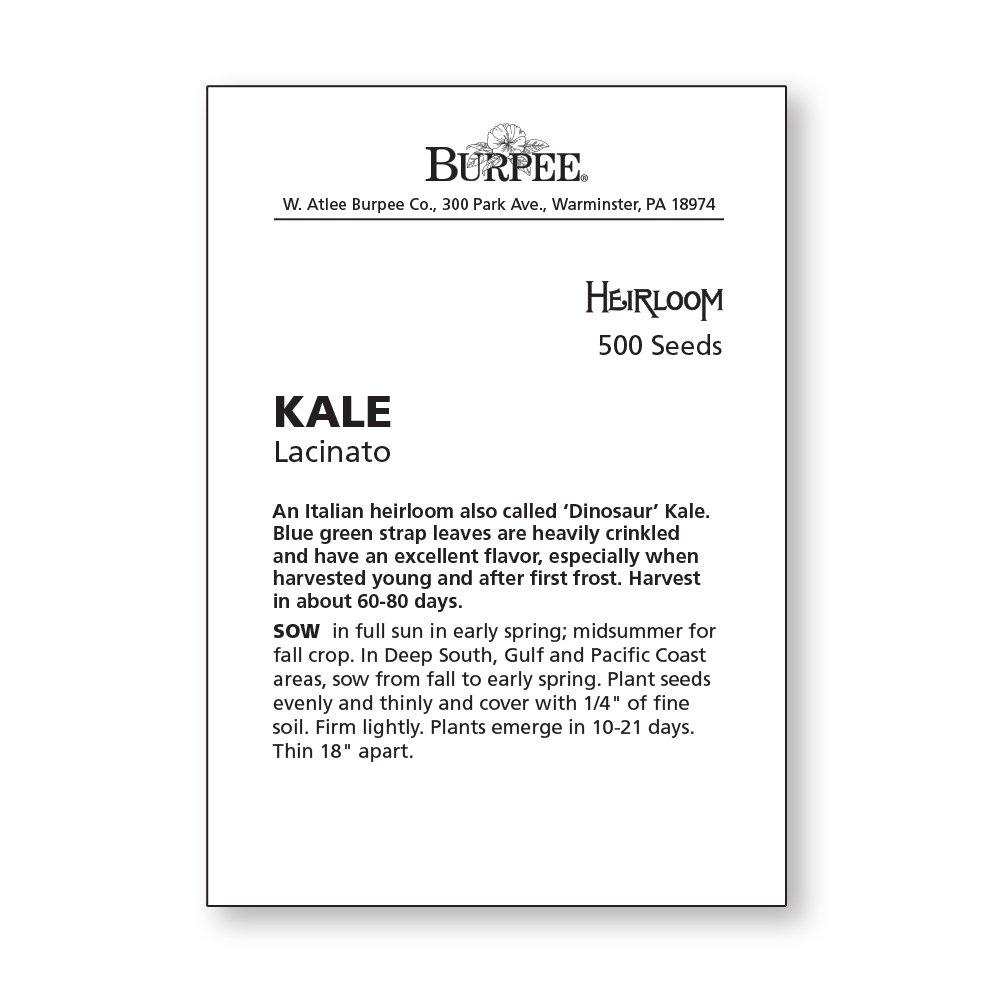 Burpee Lacinato Kale Seeds 500 seeds