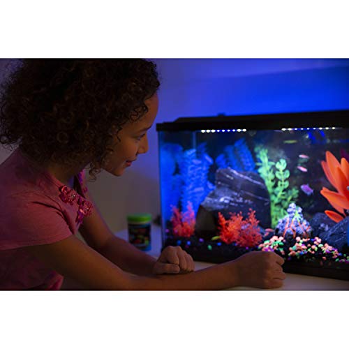 GloFish Aquarium Gravel, Fish Tank Gravel, Black With Fluorescent Accents, Compliments GloFish Tanks, 5 lb Bag