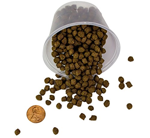 Josh's Frogs Adult Aquatic Turtle Food (16.5 oz)