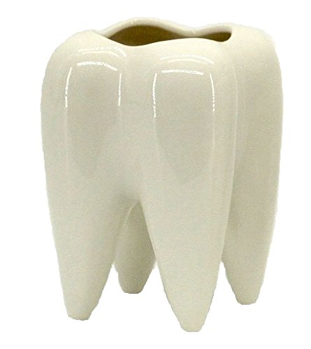 MONMOB Ceramic Tooth Shaped Pen Pencil Toothbrush Holder Pot Succulent Plant Pot Home Office School Dentists Gift (3.9")