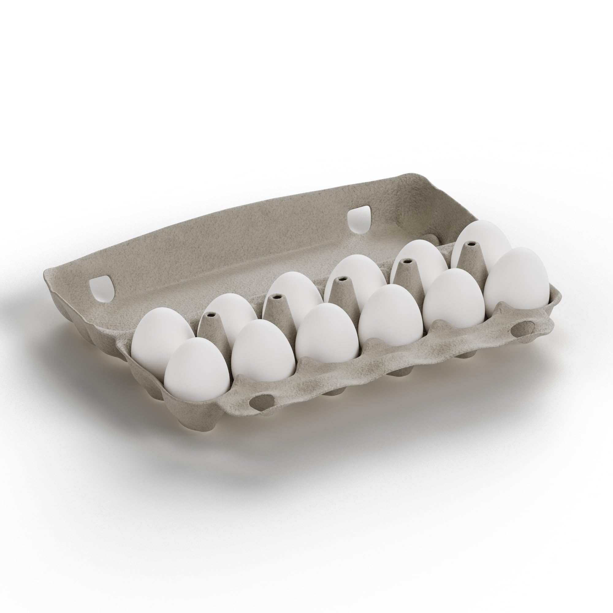Auriga PACK of 240 | Bulk Egg Cartons - 1 Dozen Capacity | Recycled Molded Pulp Strong Cardboard Material (240)