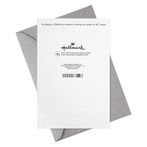 Hallmark Birthday Card for Son (Hangable or Displayable Decoration, Modern Mountains)