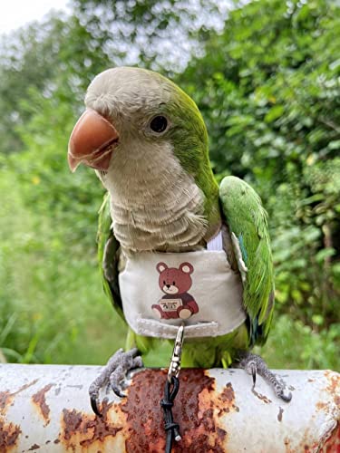Bird Flight Harness Vest, Parrot Flight Suit with Leash for Parakeets Cockatiels, Bird Flying Clothes with Rope and Handle for Outdoor Activities Training (Bear with Leash,Medium)