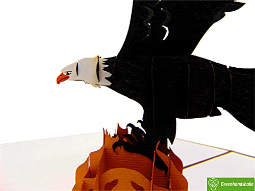 American Eagle, 3D Popup greeting card for birthday, valentine's day, mother's day, anniversary, thank you, get well, 6" x 6"
