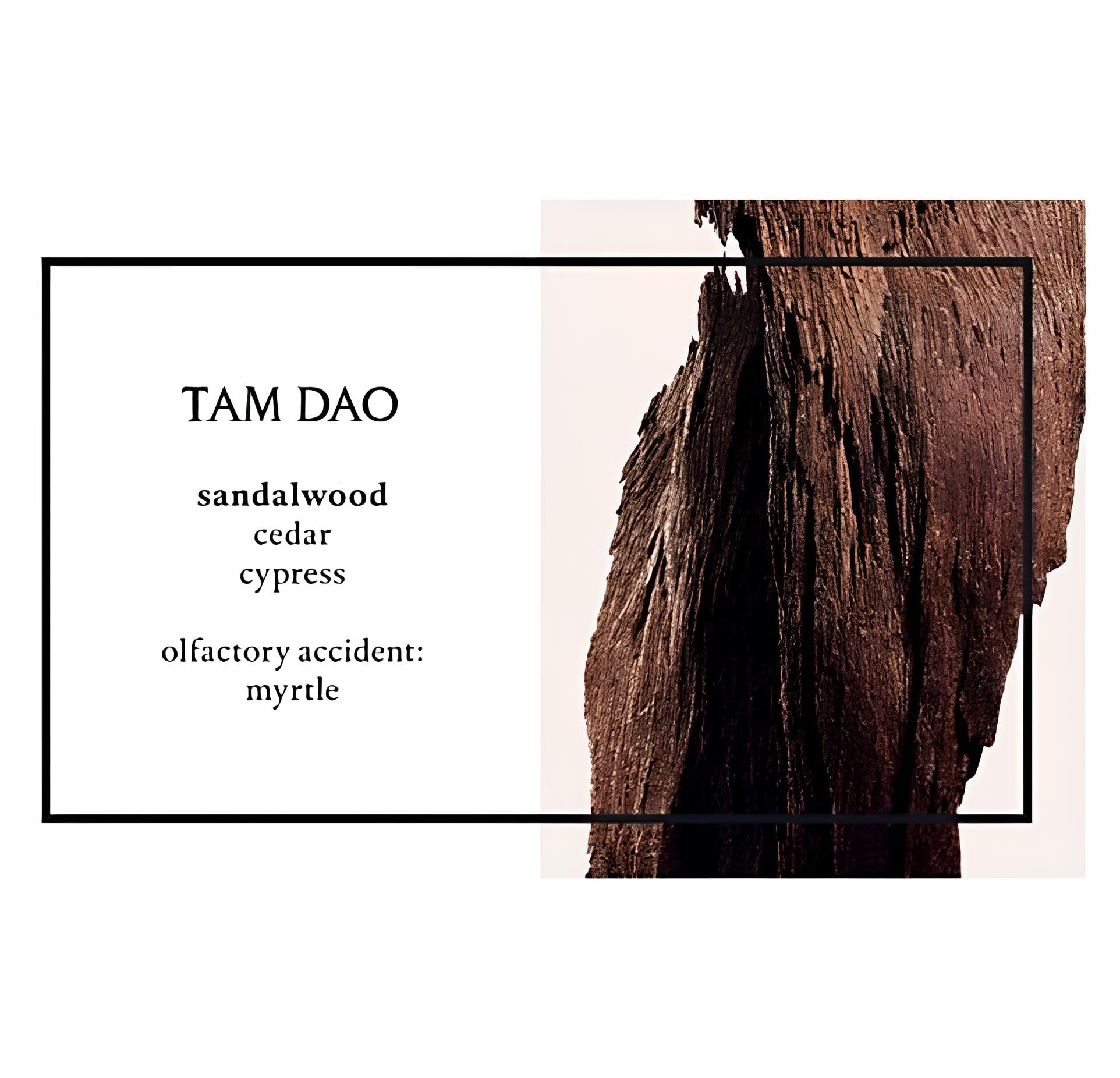 Diptyque Tam Dao Eau de Toilette-3.4 oz. (Model: 3700431405852)