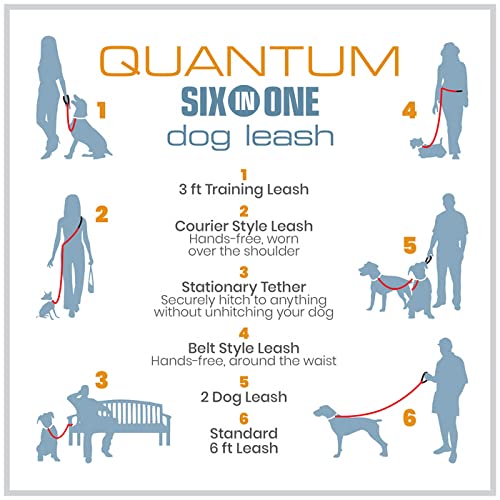 Kurgo 6 in 1 Hands Free Dog Leash , Reflective Running Belt Leash for Dogs, Crossbody & Waist Belt Leash, Carabiner clip, Padded Handle, For Training, Hiking, or Jogging, Quantum Leash, Coastal Blue, Large