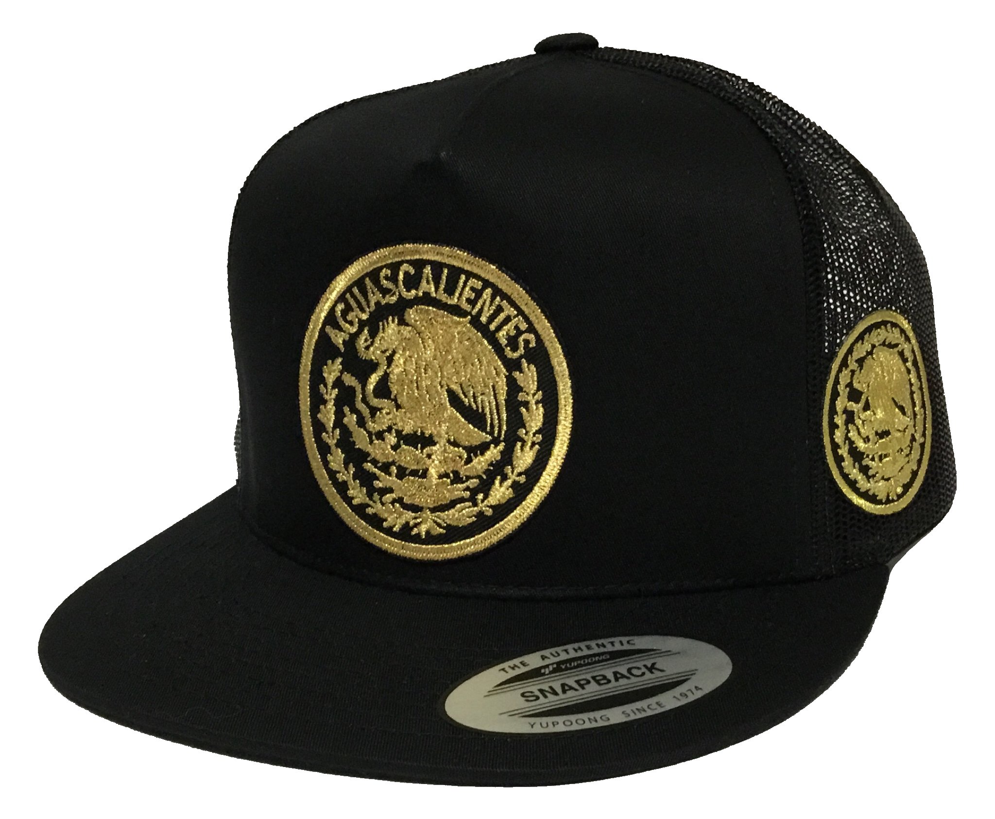 Aguascalientes Logo Federal 2 Logos 2’’ ÁGUILA A LADO HAT Black MESH