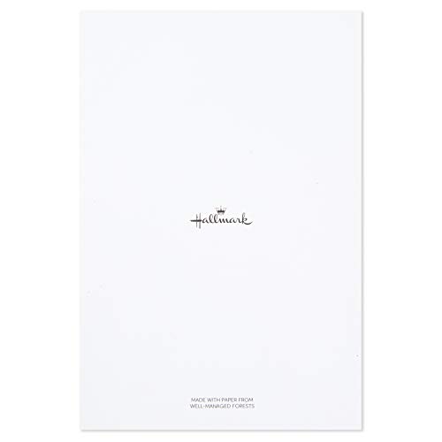 Hallmark Assorted Birthday Cards (Birthday Icons, 12 Cards and Envelopes)