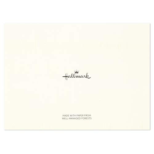 Hallmark Blank Cards (Stripes, Dots, Flowers, 40 Cards with Envelopes), Model Number: 5WDN2067