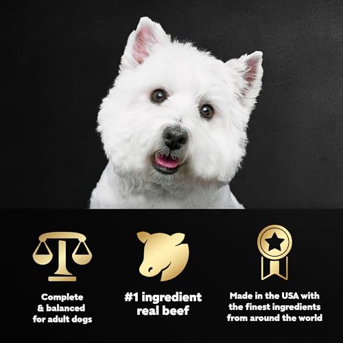 CESAR Adult Soft Wet Dog Food Filets in Gravy, New York Strip Flavor, 3.5 oz. Tray