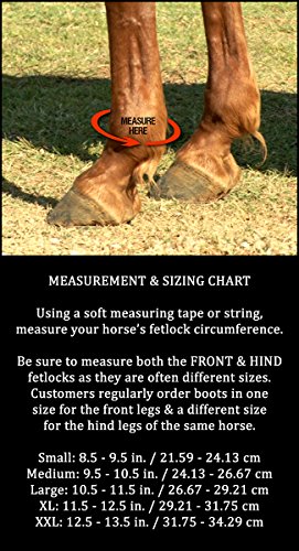 Iconoclast Orthopedic Support Boots - 1 Pair for Hind Legs (White, Medium)
