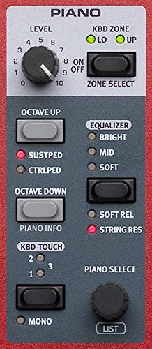 AMS-NELECTRO6D-73 Keyboard with 73-note Semi-Weighted Waterfall Keybed (Renewed)