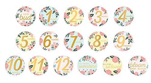 Pearhead Memory Book with Included Baby Belly Stickers, Modern Baby First Year Journal, Babys First Year, Baby Shower, Floral 17 Piece Set