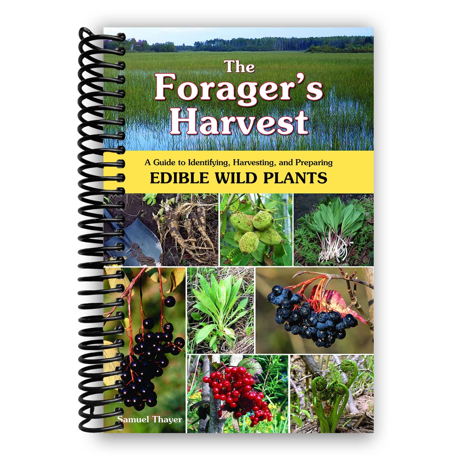 The Forager's Harvest: A Guide to Identifying, Harvesting, and Preparing Edible Wild Plants