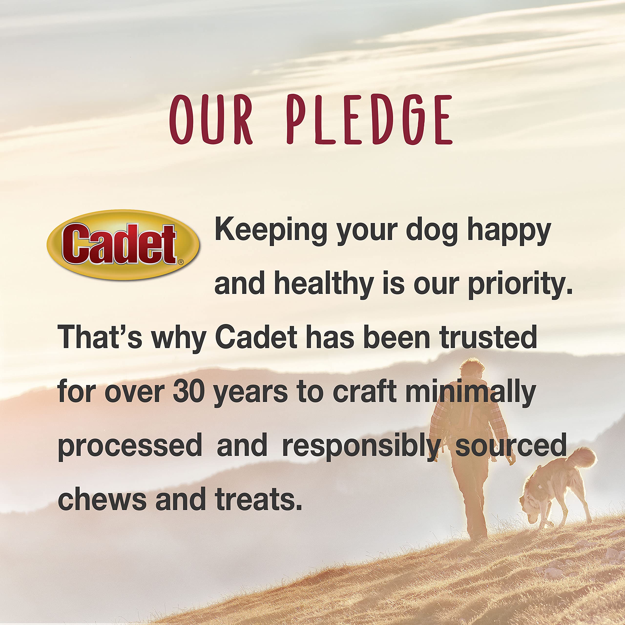 Cadet Premium Grade Beef Hide for Dogs, Long Lasting Rawhide Knotted Bones Single Ingredient Dog Chews, 4"-5" Dog Bones, 1 Pound