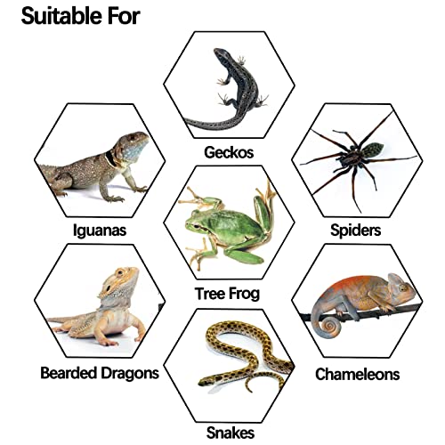 BNOSDM 4 Pcs Reptile Vines Snake Habitat Climbing Decor with 8 Suction Cups Lizard Terrarium Tank Accessories for Gecko Bearded Dragon Gecko Iguana Tree Frog Chameleon