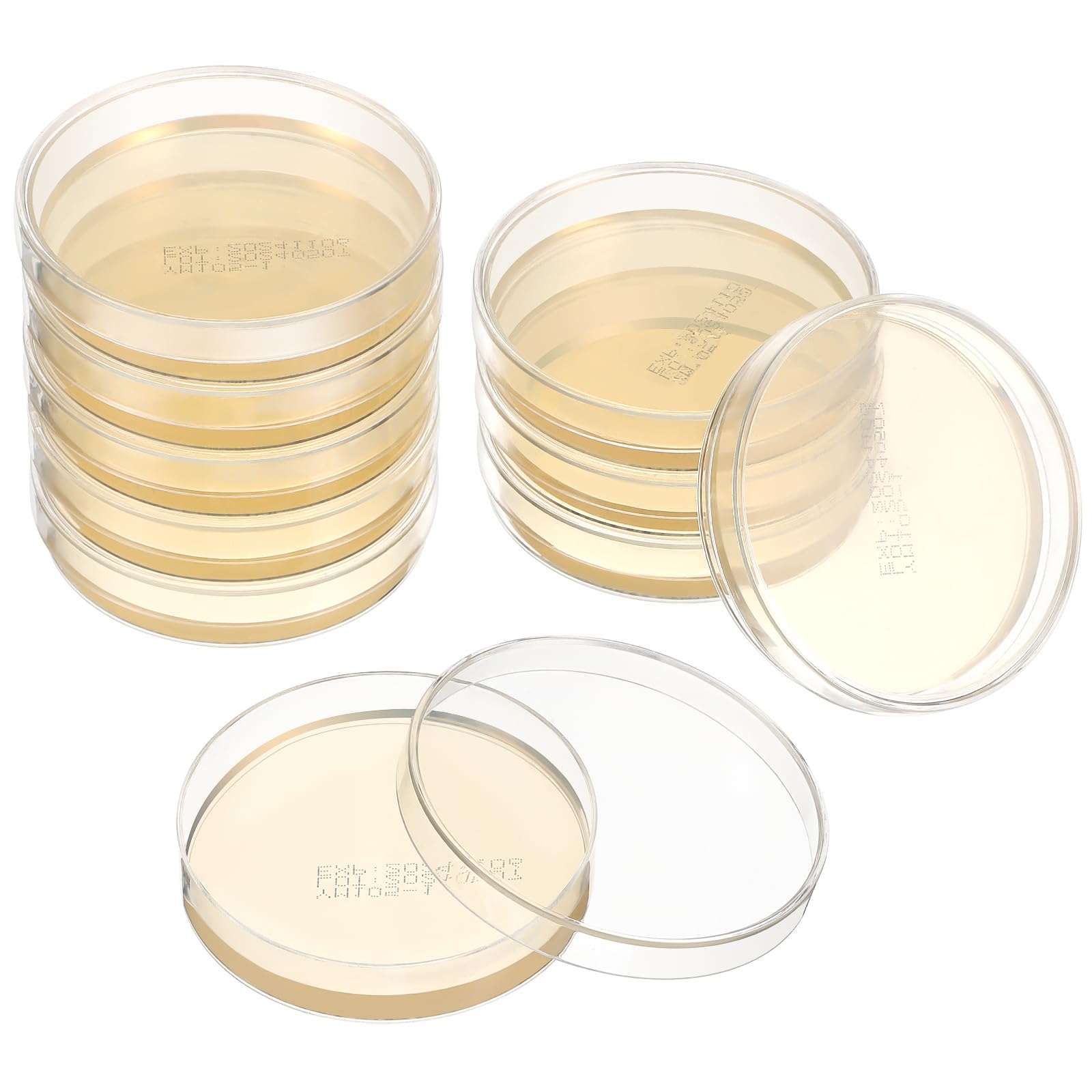 Generic Agar Plates:Prepoured Nutrient Agar Petri Dishes Science Projects Supplies Growth Medium for Mushrooms & Science Fair Projects,10 pcs