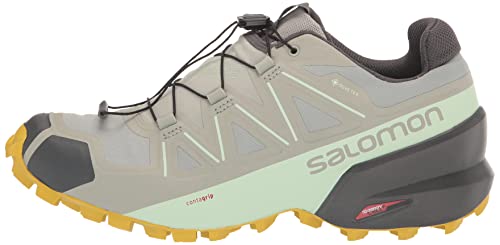 Salomon Speedcross 5 Gore-tex Trail Running Shoes for Women, Wrought Iron/Spray/Antique Moss, 9.5