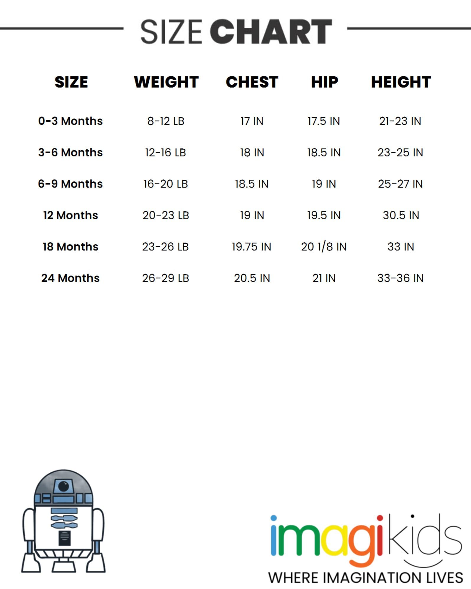 STAR WARS C-3PO Princess Leia Chewbacca R2 D2 Newborn Baby Girls Bodysuit and Romper Grey 0-3 Months