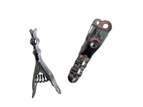 Henry Berry & Dairy Extreme Clothespins | Solid 304 Stainless Steel | 20 Pack | Heavy Duty | Anti-Rust | Laundry Pins | Clothes Pins | Chip Clips | Lifetime Product | No Plastic | Made in Italy