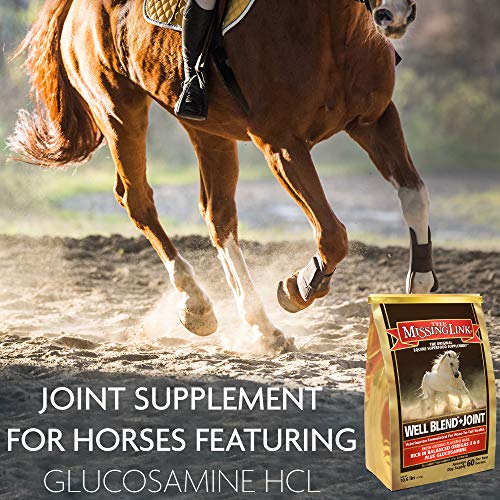 The Missing Link Equine Well Blend + Joint Superfood Supplement Powder, 10.6 lb. Bag / 120 Day Supply