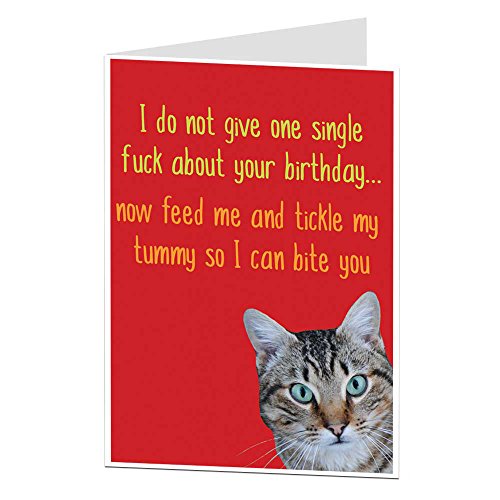 LimaLima Funny Birthday Card Cat Pet Theme Rude Offensive Perfect For Owner Lover Men & Women