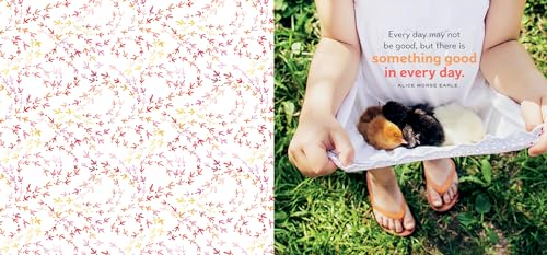 Chicken Wisdom Frame-Ups: 50 Inspirational Prints to Put You in a Fresh Frame of Mind