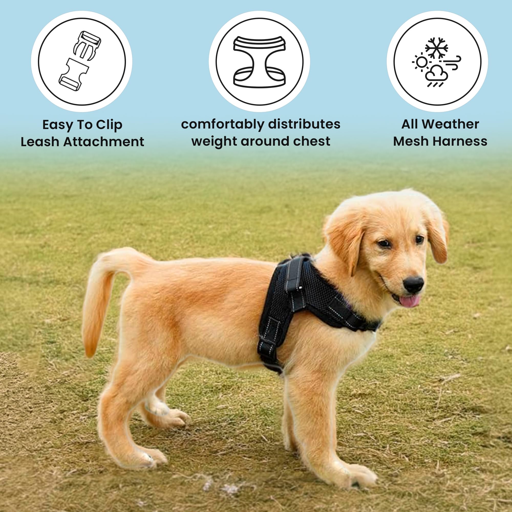Copatchy Dog Harness Small Sized Dogs - All Weather Mesh overhead adjustable no pull Vest Puppy reflective Harness with handle for Extra Small and Small Dogs by Copatchy - Harness (Black) X-Small