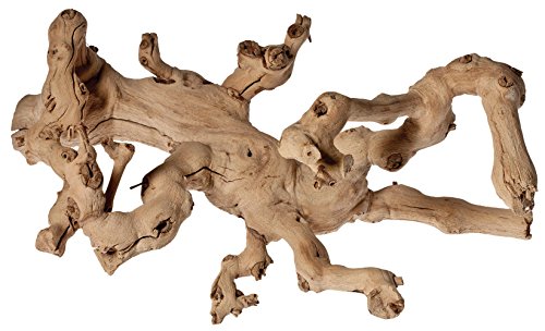 Pisces 18" Grapewood Sandblasted Branchy, Varies