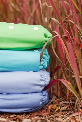 Hero Pocket Cloth Diaper with 2 Microfiber Inserts