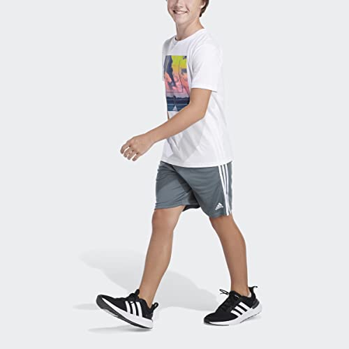 adidas Boys' Short Sleeve Cotton Graphic Novelty T-Shirt, White, Small (8)