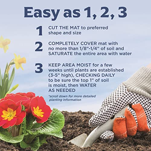 BloomingBulb Seed Mat - Easy to Plant and Grow Garden Seeds - Creates Fragrant, Vibrant Flower Garden β Customizable Flower Beds- Dwarf Dahlia Flower Mat