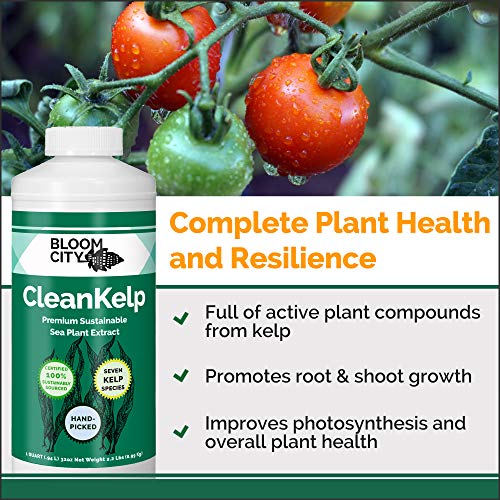 Organic Liquid Kelp Fertilizer - Seaweed Fertilizer for Plants - Concentrated Kelp & Seaweed Extract, Quart (32 oz) Makes 180 Gallons