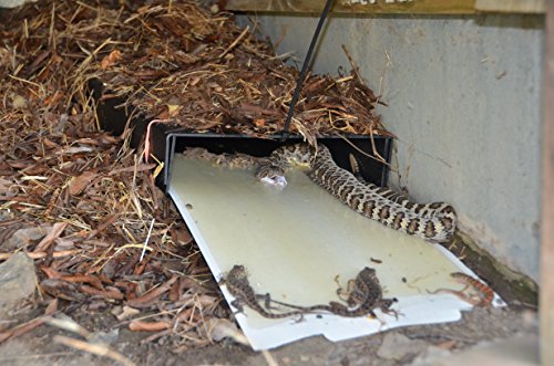 Cahaba Snake Trap (1 PK) Commercial Grade Large/Reusable 32"x10"x3" with (3) Large Catch Inserts Made in USA