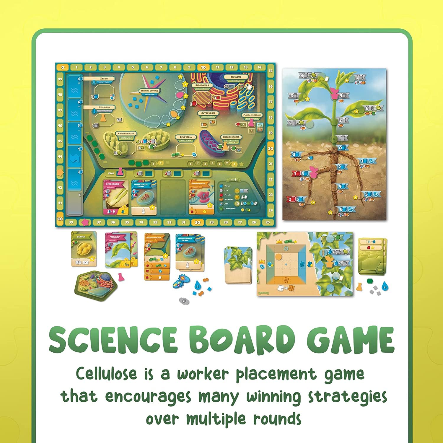 Cellulose: A Plant Cell Biology Game | MENSA Recommended Strategic & Entertaining Game to Learn Photosynthesis, DNA & Biochemistry | Educational STEM Board Game for Families, Students & Teachers