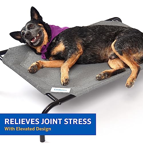 Coolaroo The Original Cooling Elevated Dog Bed, Indoor and Outdoor, Medium, Nutmeg