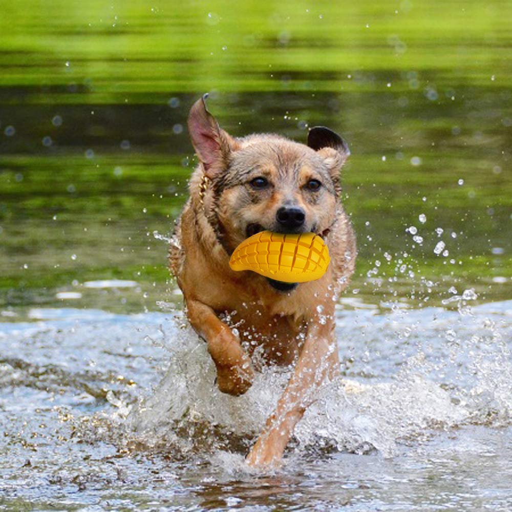 LPHSNR Upgrade Mango Dumbbells Dog Chew Toys for Aggressive Chewers, Indestructible Tough Dog Toys Interactive Durable with Mango Scent, Teething Clean for Large Puppy Medium Dogs Bite Resistant